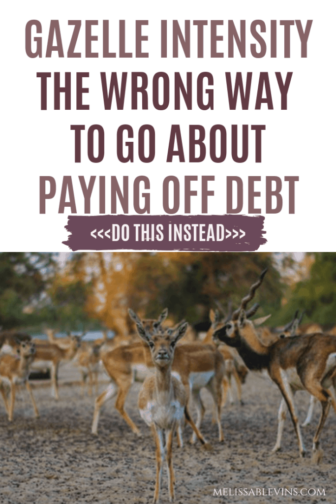 Gazelle Intensity: Is Financial Peace University the Best Way to ...